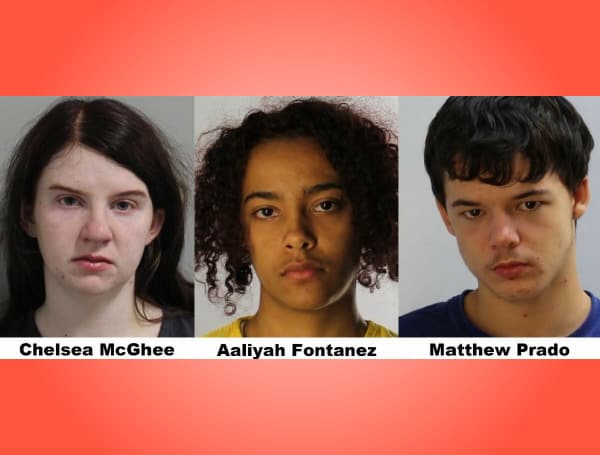 3 Tampa Bay Area Teens On Probation For Burglary Arrested In Polk