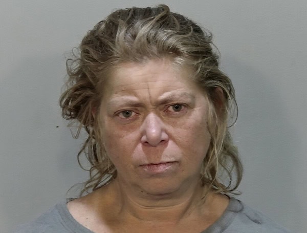 North Carolina Woman Arrested After Florida Dui Crash Spitting On Deputy