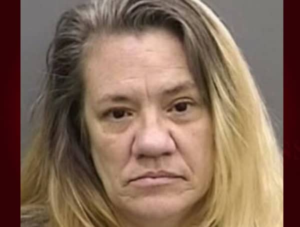 Hillsborough County Detectives Seek Publics Help Locating Woman Wanted